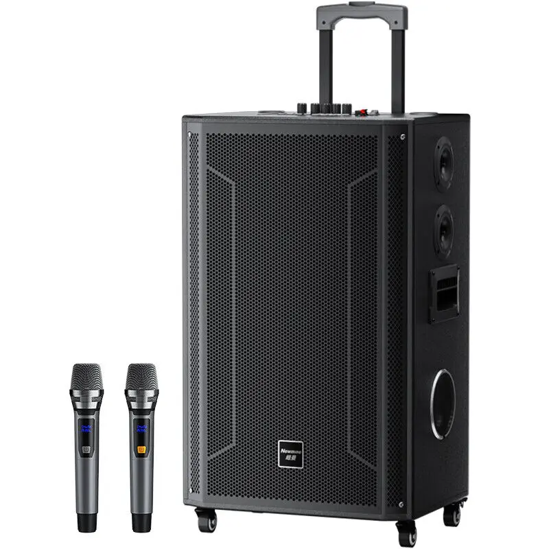 Newmine Bežični zvučnik N539, 15" + Mikrofon