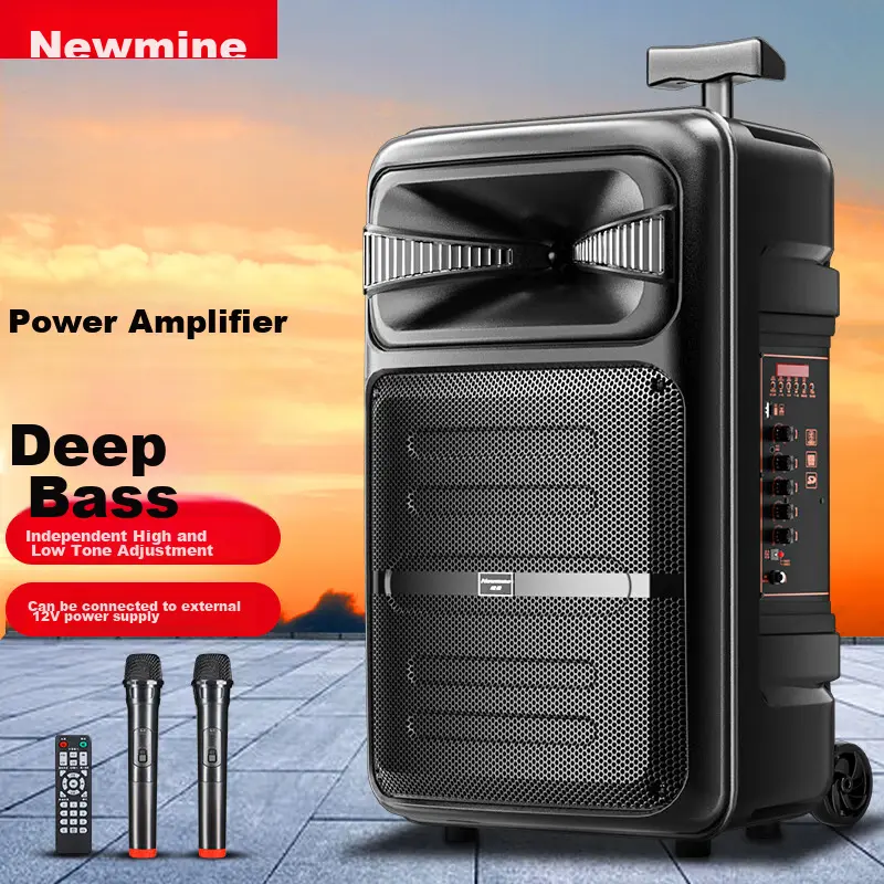 Newmine Bluetooth karaoke zvučnik sa 2 mikrofona A12, 3600 mAh, Crni