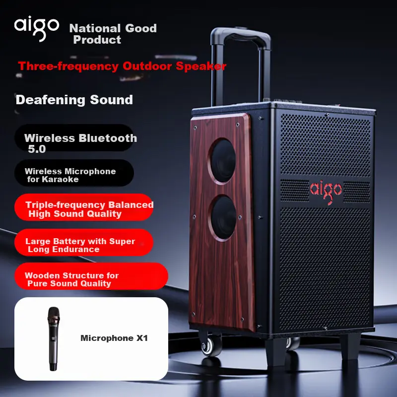 Aiguozhe Bluetooth karaoke zvučnik sa mikrofonom S610, USB, TF, Crni