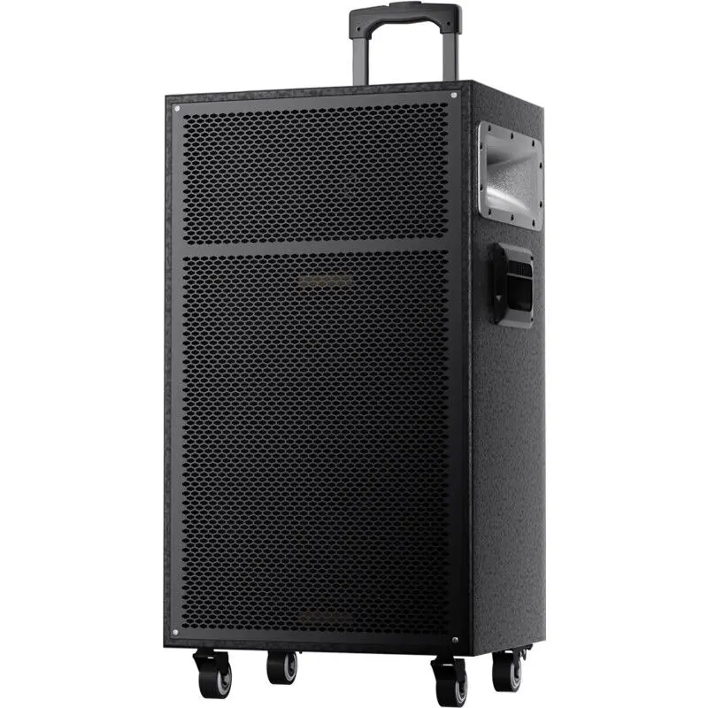 Newmine Bežični zvučnik N550, 12" + Subvufer + Mikrofon