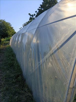 Profesionalni plastenik