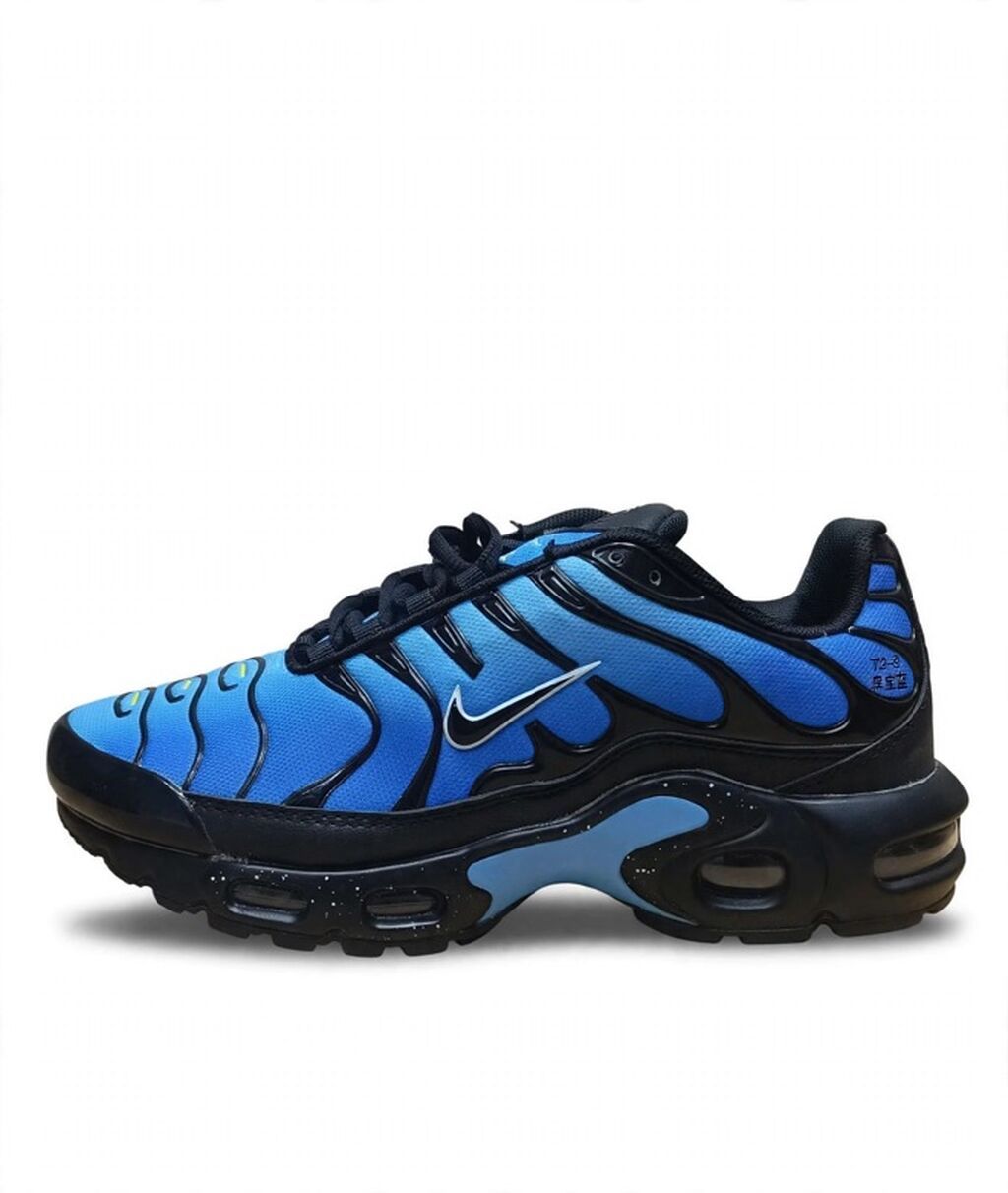 Nike Air Max Plus TN patike. Model karakteriše kombinacija plave i