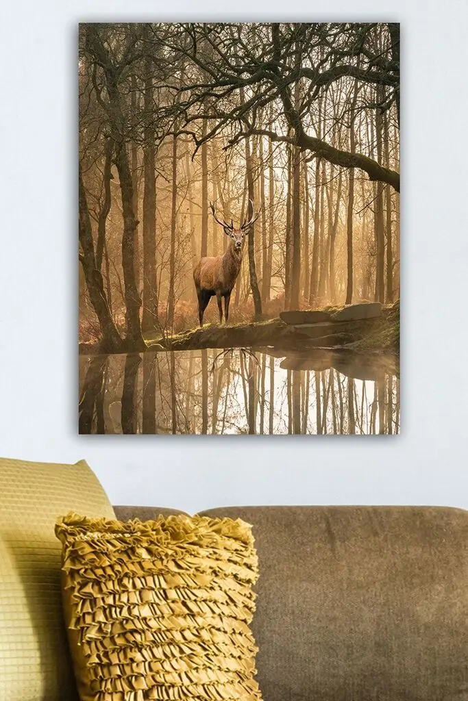 Wallity Slika na platnu 50x70cm