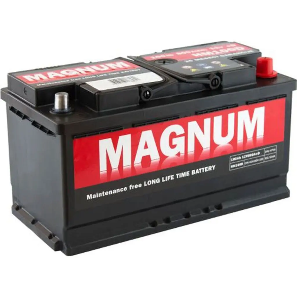 Magnum Akumulator 12 V, 100 Ah, D+