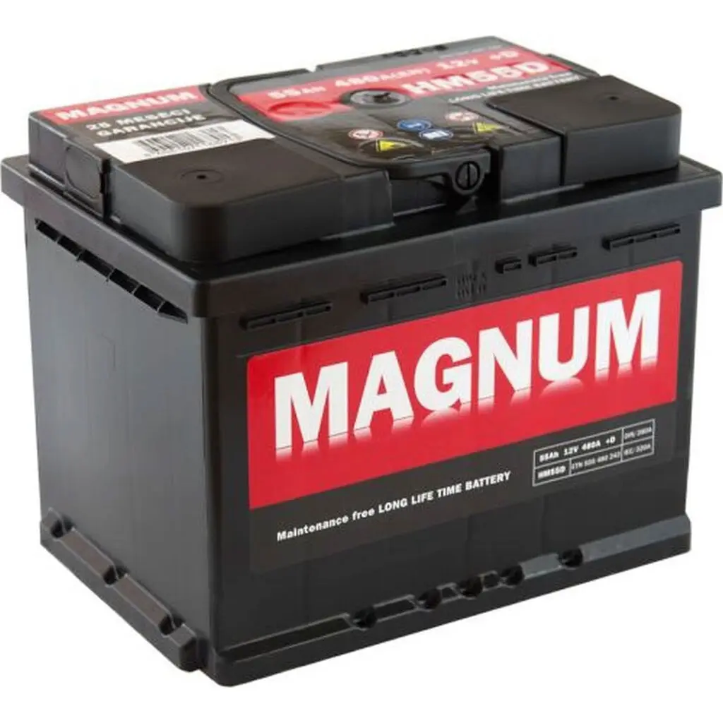 Magnum Akumulator, 12 V, 55 Ah, D+