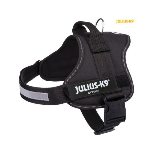 AM JULIUS K9 2/L-XL 71-96CM
AM JULIUS K9 2/L-XL 71-96CM