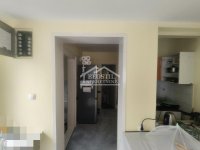Zemun - Centar - 1.0 ID#25645