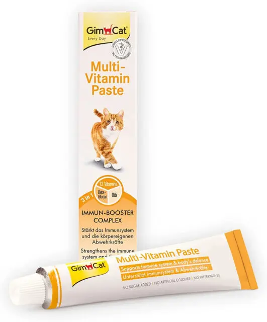 GIMBORN Multivitaminska pasta 20g