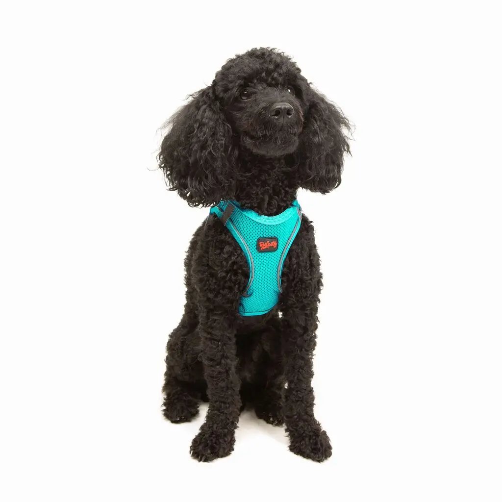 Paws & Whiskers Am za pse Air-Mesh, Svetloplavi