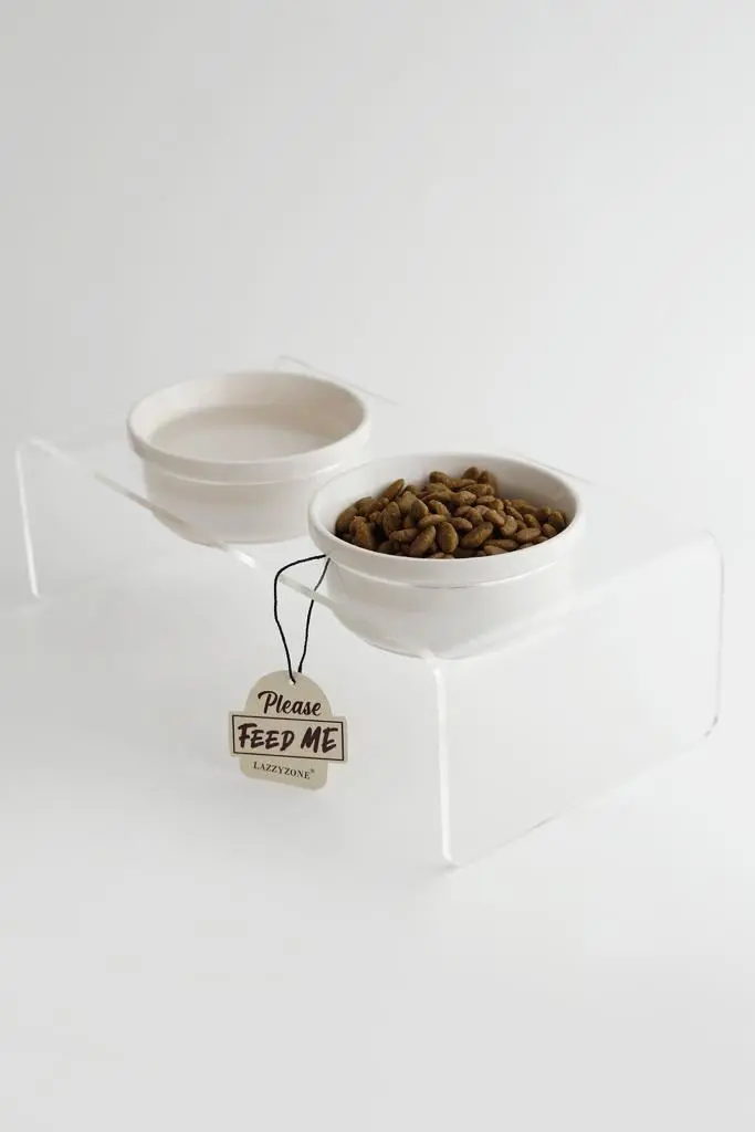 Paws & Whiskers Set činija za hranu za kućne ljubimce, 3 komada, Providni