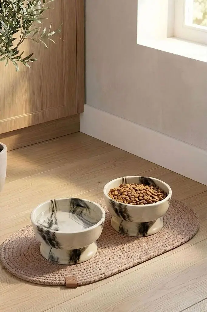 Paws & Whiskers Činija za hranu za kućne ljubimce, Crna