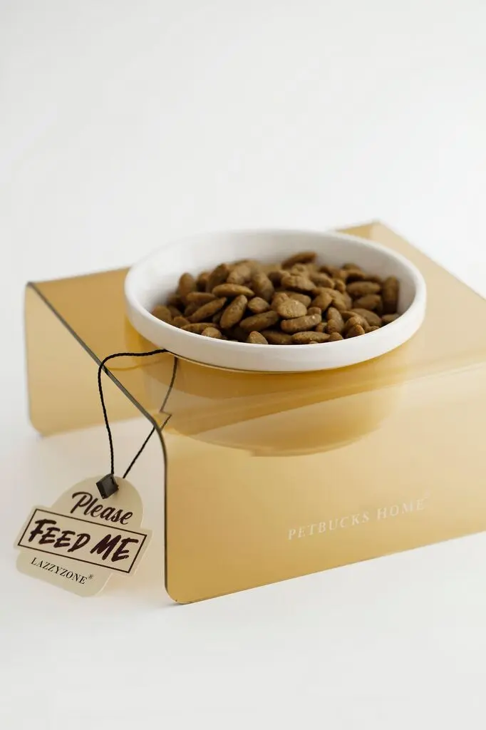Paws & Whiskers Set činija za hranu za kućne ljubimce, 2 komada, Braon