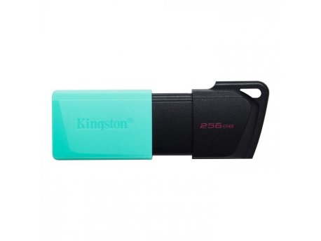 KINGSTON Fleš Pen 256GB DataTraveler Exodia M 3.2 DTXM/256GB