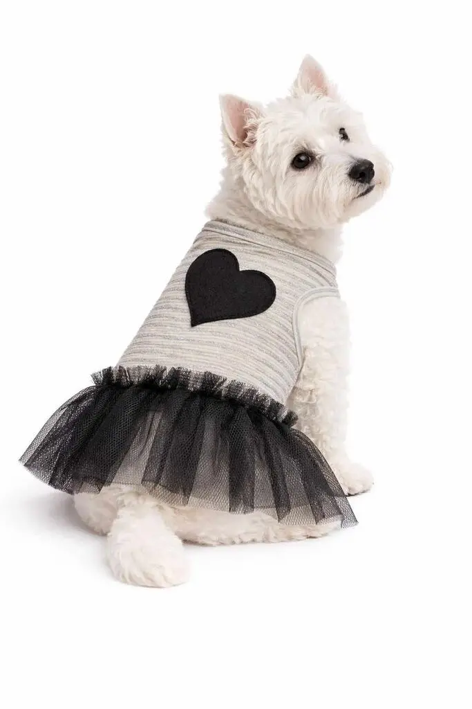 Paws & Whiskers Haljina za pse, Crna