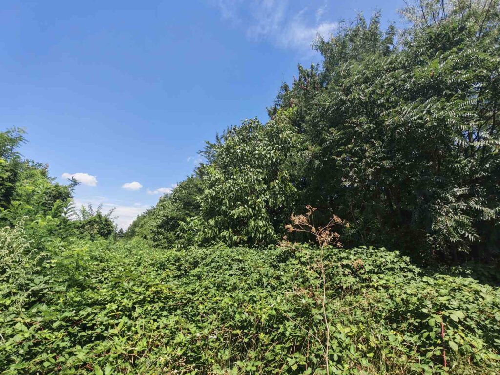 Građevinski plac 29 ari, Zabrežje, Obrenovac, 58.000€