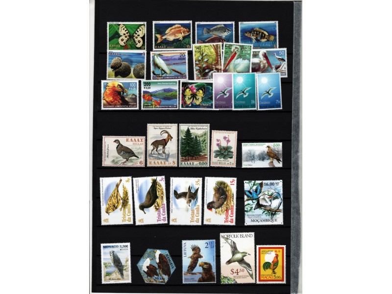 flora fauna PTICE RIBE CVECE CISTO