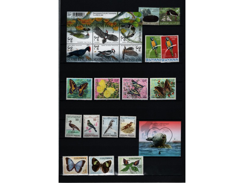 PTICE LEPTIROVI FAUNA CISTO
