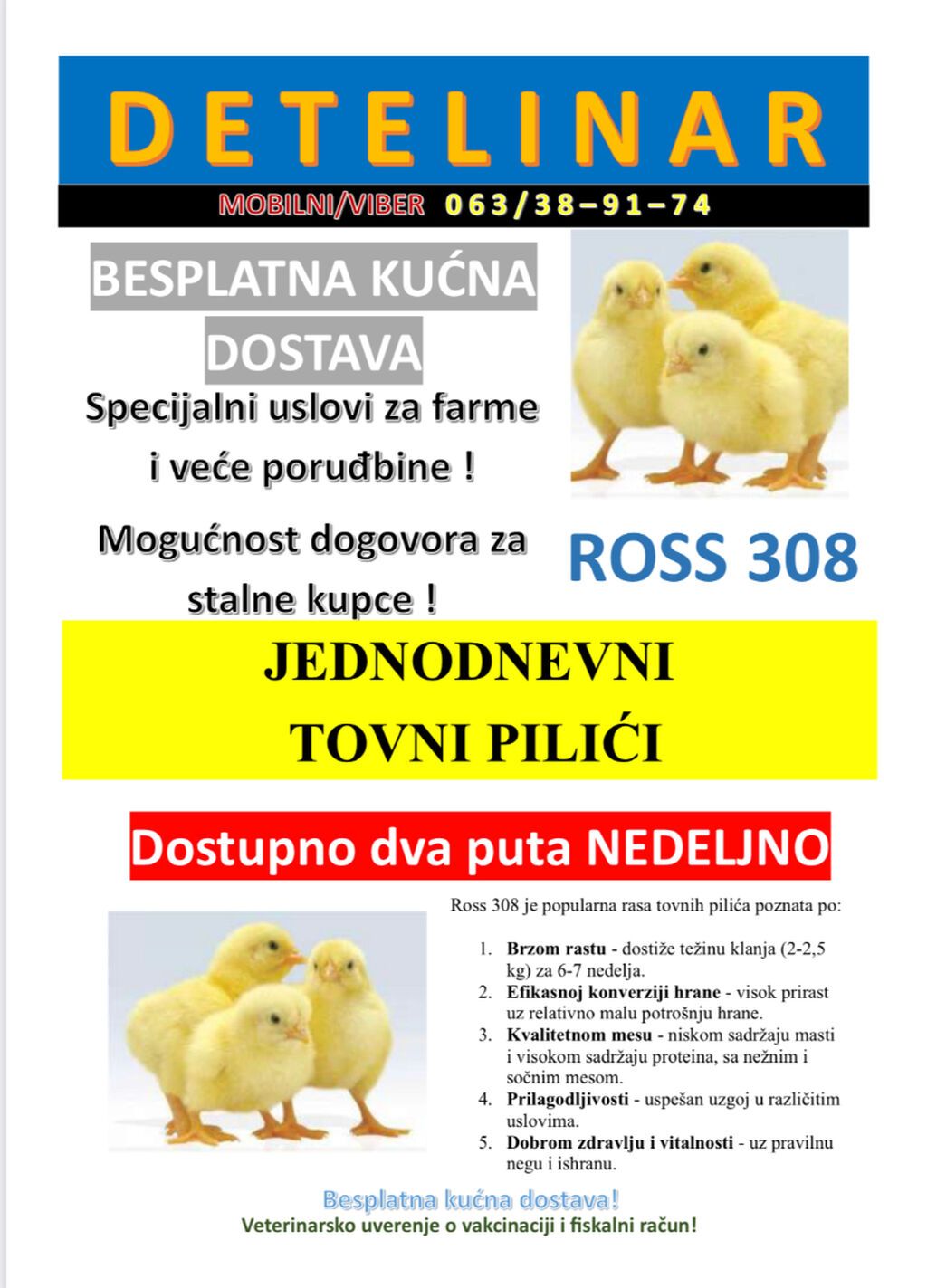 Jednodnevni tovni pilići – Ross 308 - Rasa: Ross 308 (brojleri) -