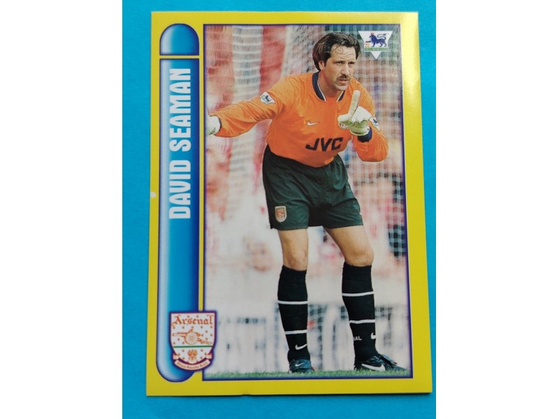 Premijer Liga 1998 Merlin #24 David Seaman