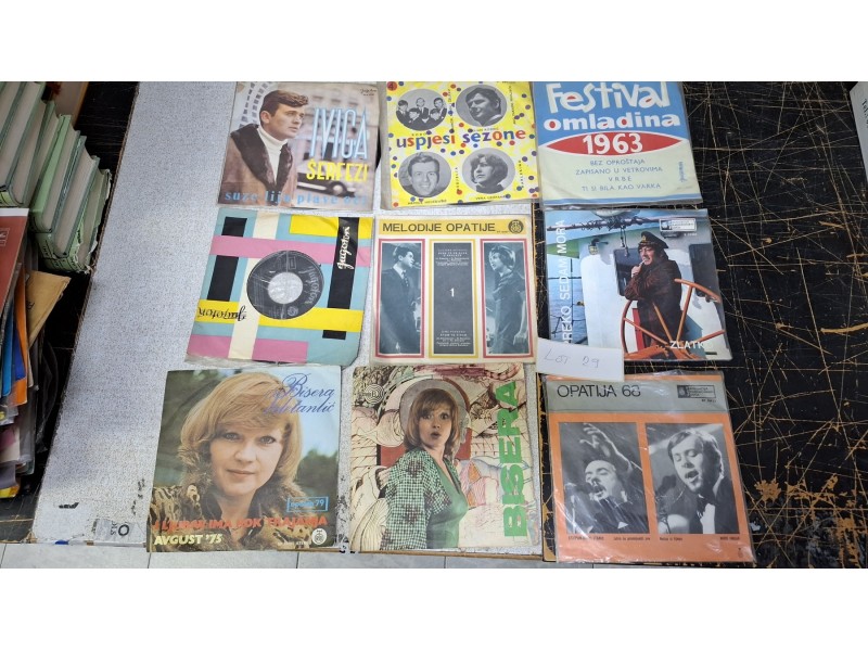 Lot 29