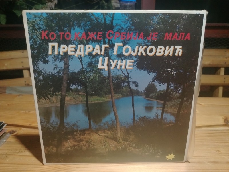 Predrag Gojkovic Cune