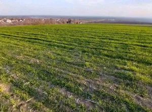 Prodaja Građevinsko zemljište - Irig
