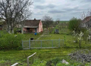 Prodaja Vila - Zrenjanin