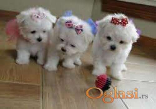 pudla
