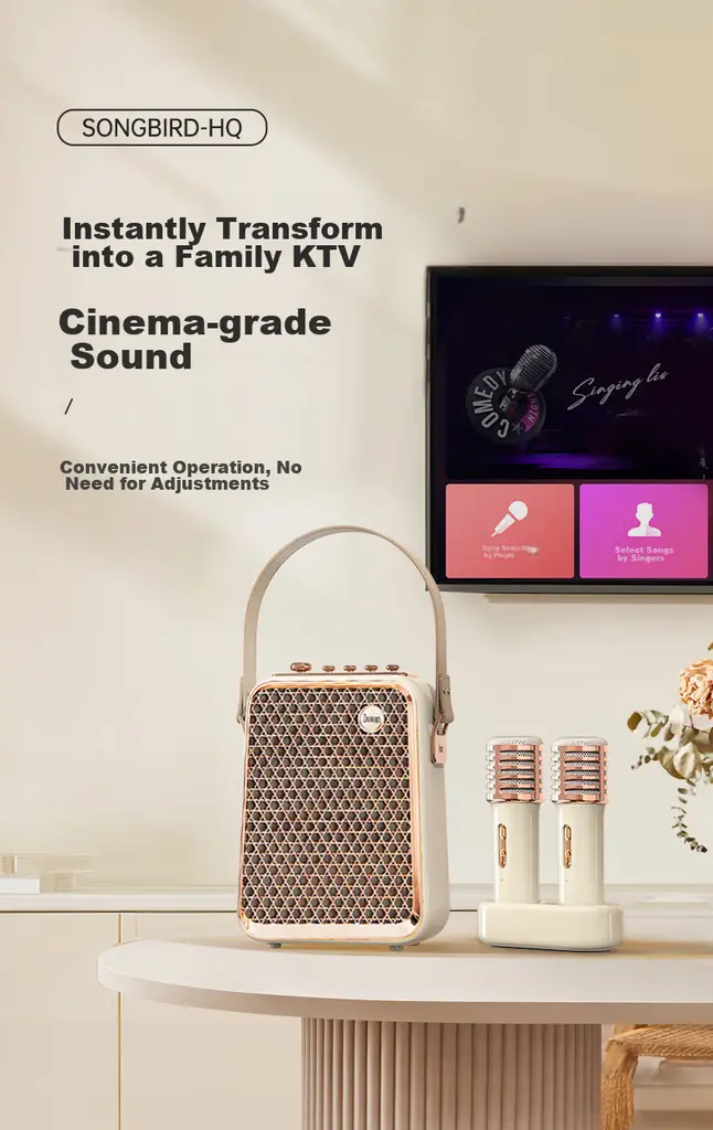 Divoom Bluetooth karaoke zvučnik sa 2 mikrofona, 50 W, Beli
