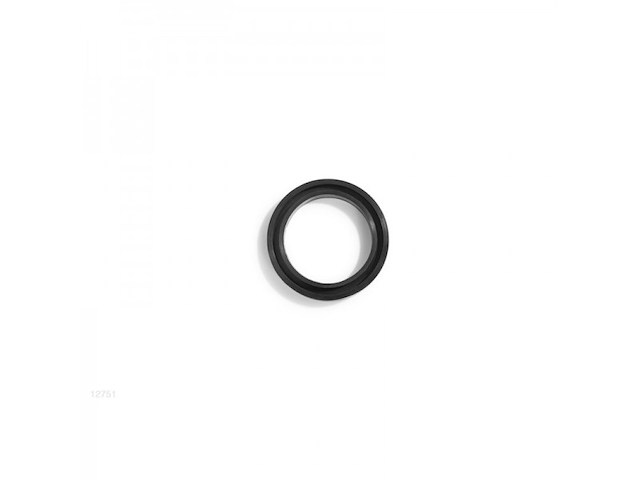 Dihtung gumica za filter motor Intex PureSpa đakuzija