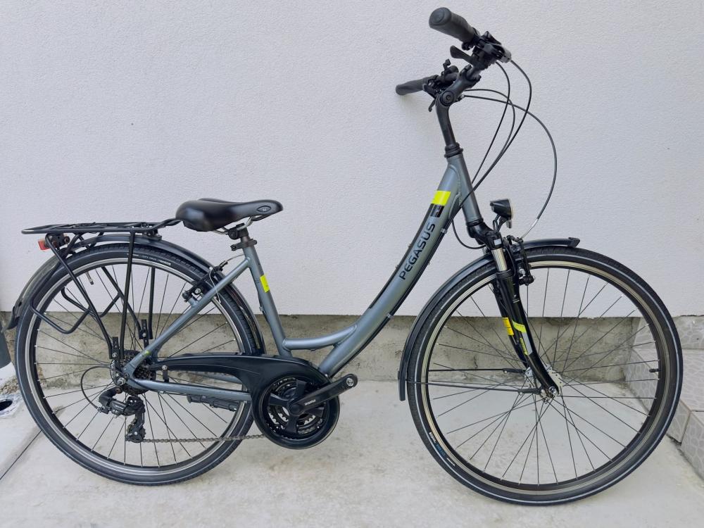 Pegasus Piazza 3x7 ( 2024 ) S-Size