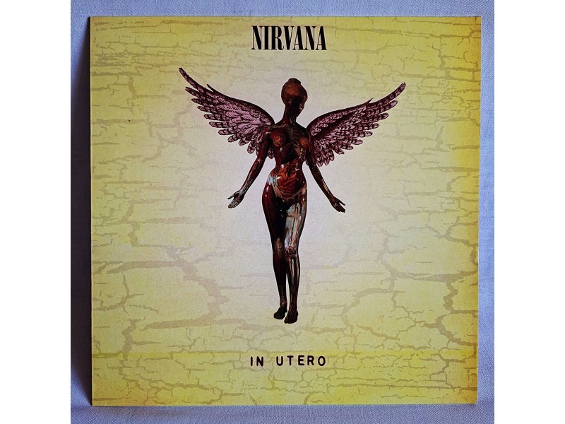 NIRVANA! UNOFFICIAL! VRHUNSKI TREĆI LP! MINT!