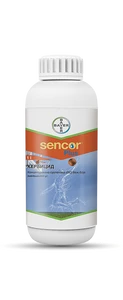 Sencor Plus