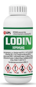 LODIN
