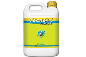 Tecnokel Amino B