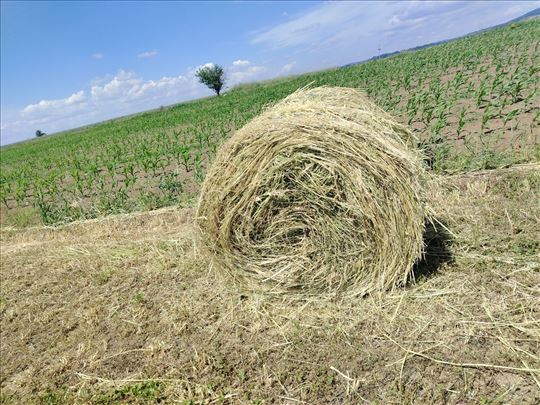 Rolo bale i obične bale deteline