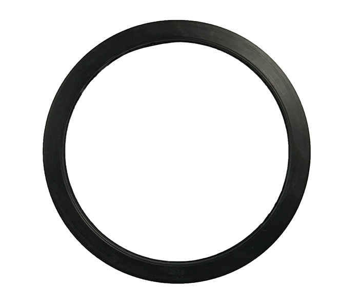 O-ring pumpe 2″ 400789
