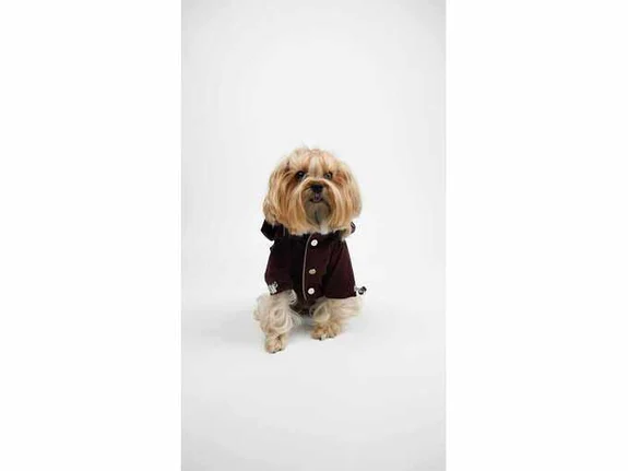 Paws & Whiskers Kabanica za pse Astra S