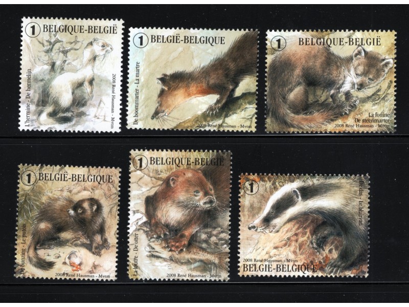 BELGIJA WILD ANIMALS CVECE CISTO FLORA FAUNA