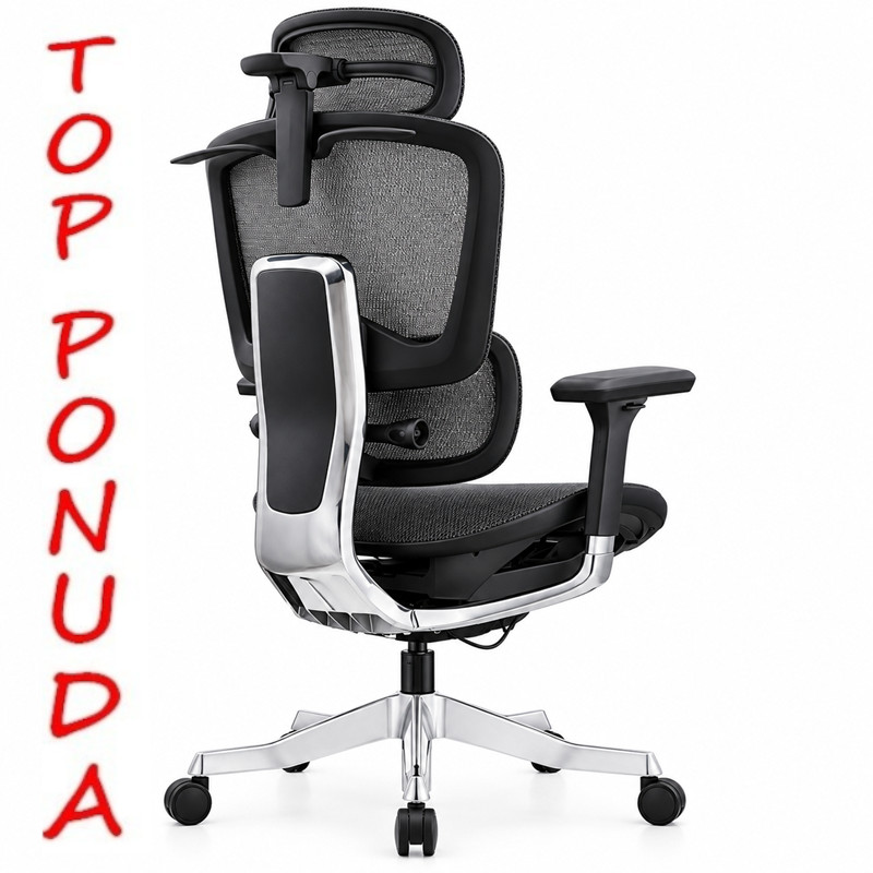 Ergonomska radna stolica Ergo 10 ALU crna, cena sa pdv-om