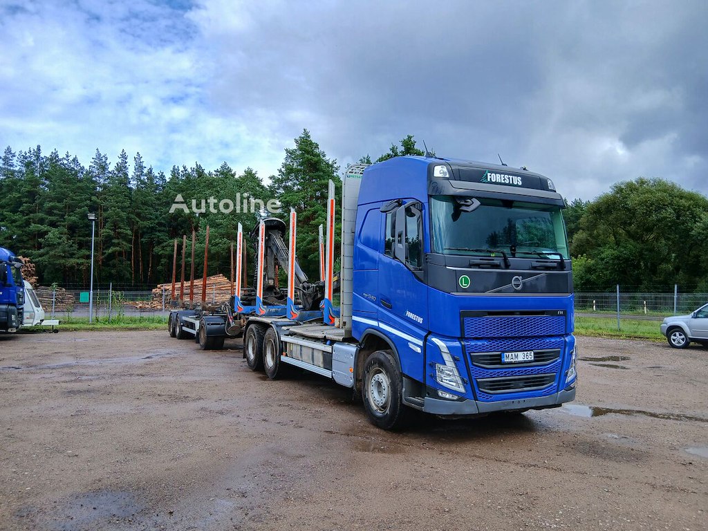 Volvo FH 540 kamion za prevoz drva