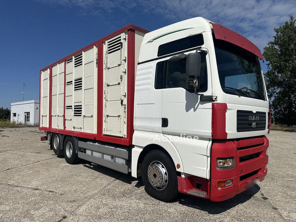 MAN TGA 26.460 kamion za prevoz stoke