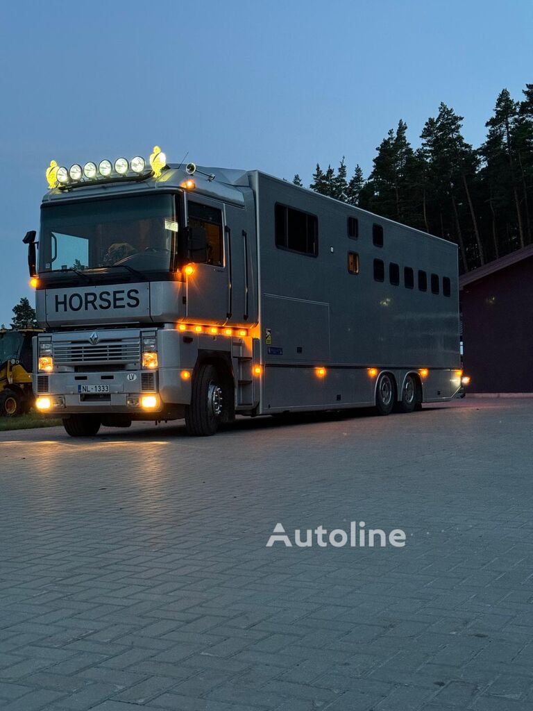 Renault MAGNUM kamion za prevoz konja