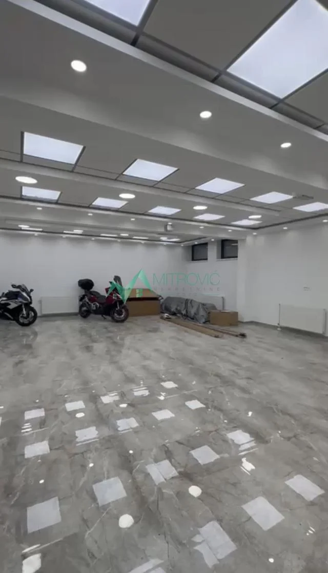 Izdavanje, Poslovni prostor, 100m2 , Salajka