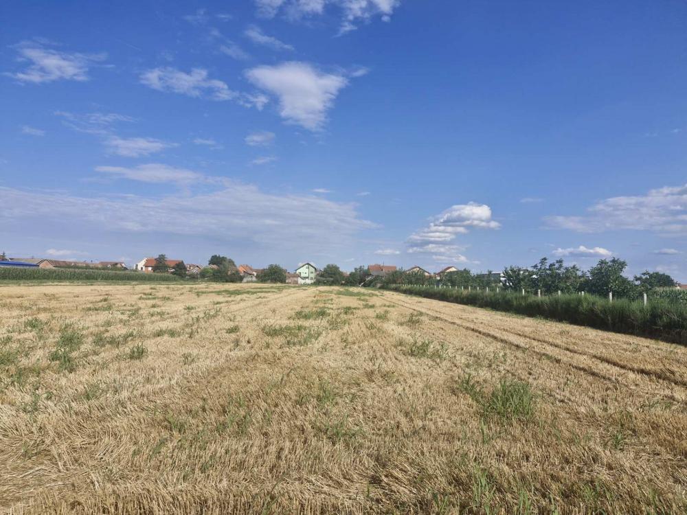 Batajnica,plac 41 ari ID#1782
312.000 €