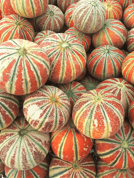 Kajari Dinja