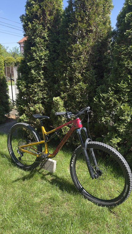 Rocky Mountain Instinct