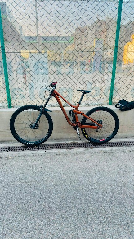Scott gambler 2023