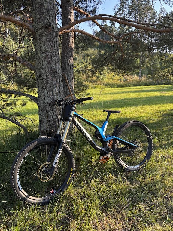 Canyon Sender CFR 7.0