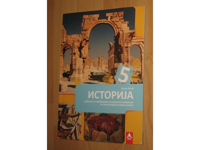 5. ISTORIJA 5 BIGZ